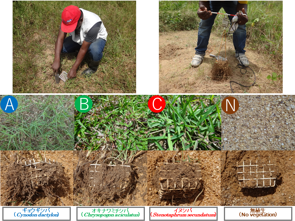 588. Soil-binding Capacity of Plant Root Systems to Prevent Collapse of ...