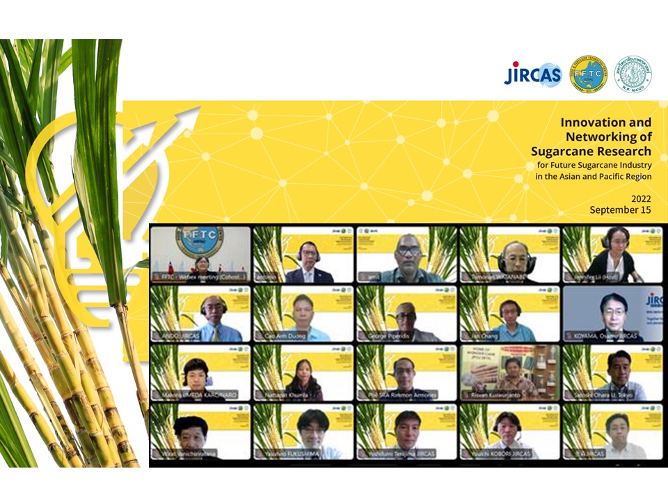 JIRCAS-FFTC国際サトウキビワークショップを開催 | 国立研究開発法人 国際農林水産業研究センター | JIRCAS