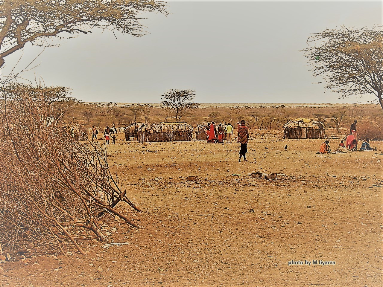 660. Investment in Climate Change "Loss and Damage” and "Adaptation and ...