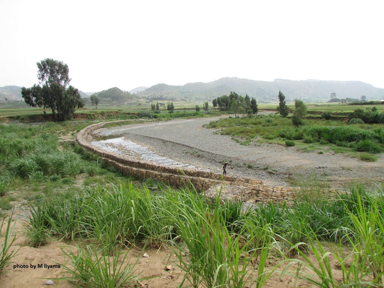 664. The Sharm el-Sheikh Implementation Plan | Japan International Research Center for ...