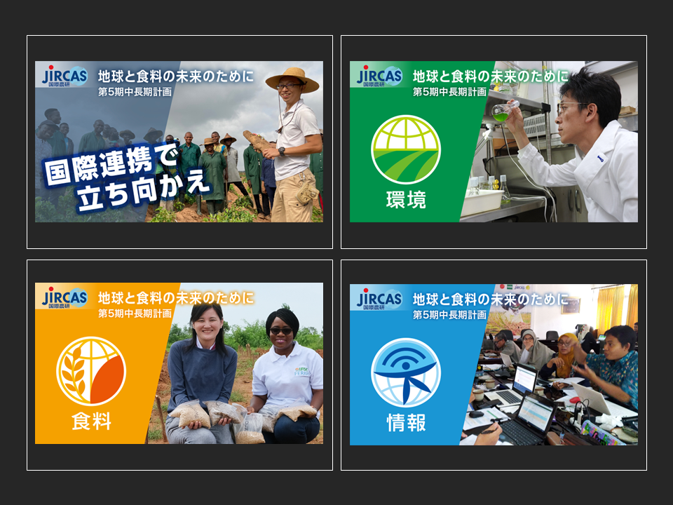 第5期中長期計画のPR動画を公開しました | 国立研究開発法人 国際農林水産業研究センター | JIRCAS