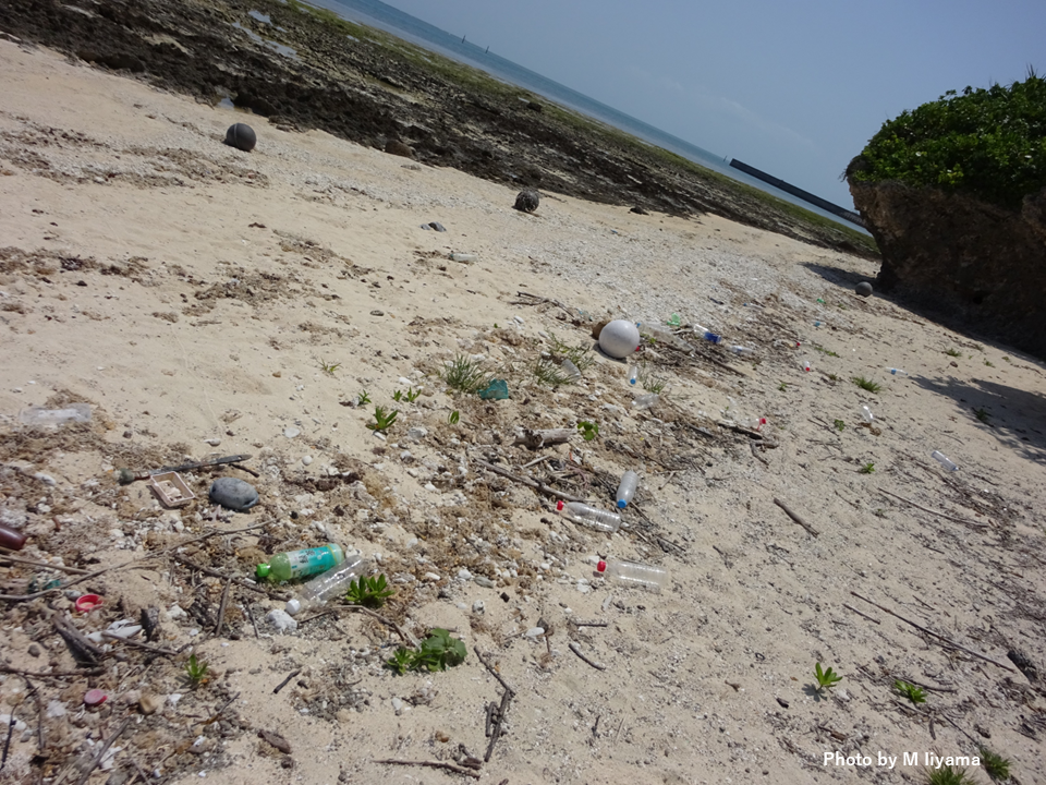 785. Getting to the Root of Plastic Pollution | Japan International ...