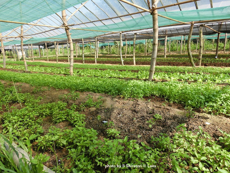 820. The State of Food Security and Nutrition in the World 2023: Global ...