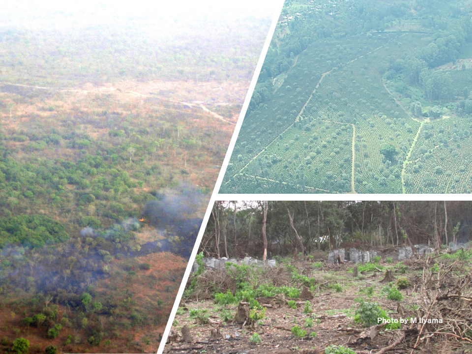 837. Global Land Squeeze | Japan International Research Center for ...