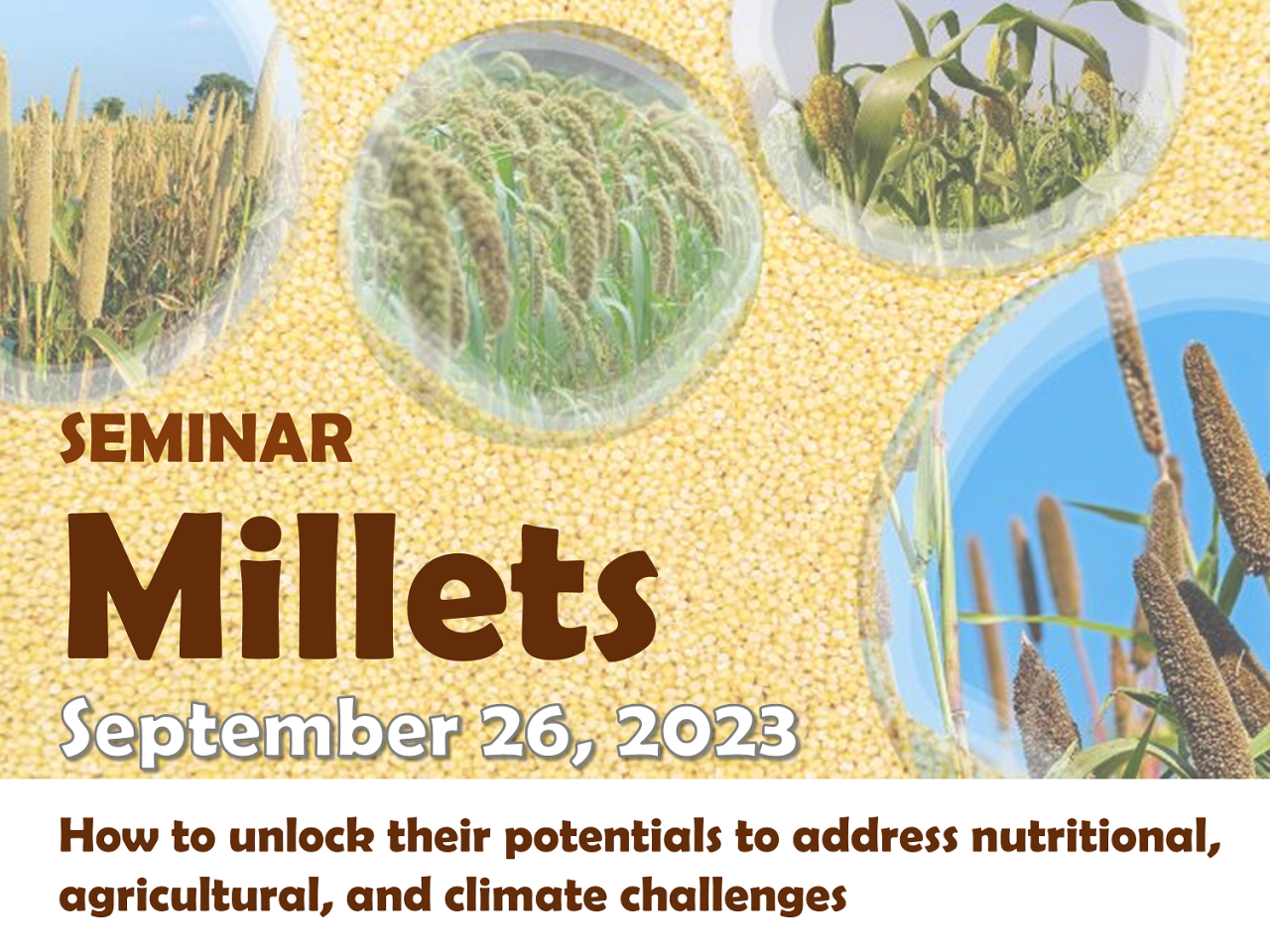 844. Seminar: Millets - How to unlock their potentials to address ...