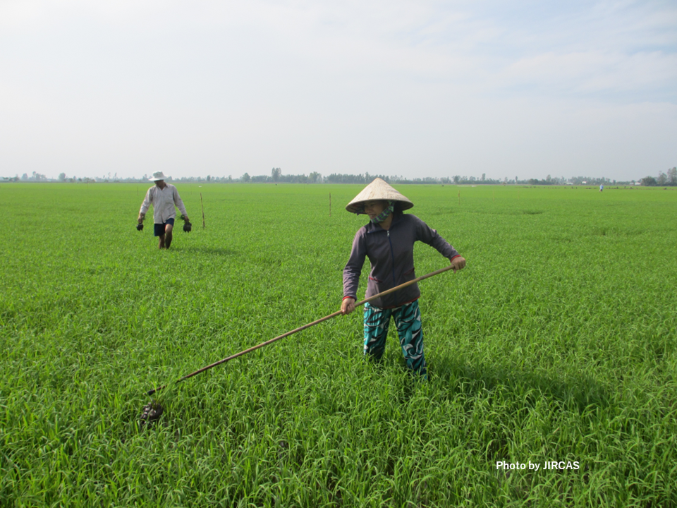 914. Dangerous Hot and Humid Conditions for Farmers | Japan ...