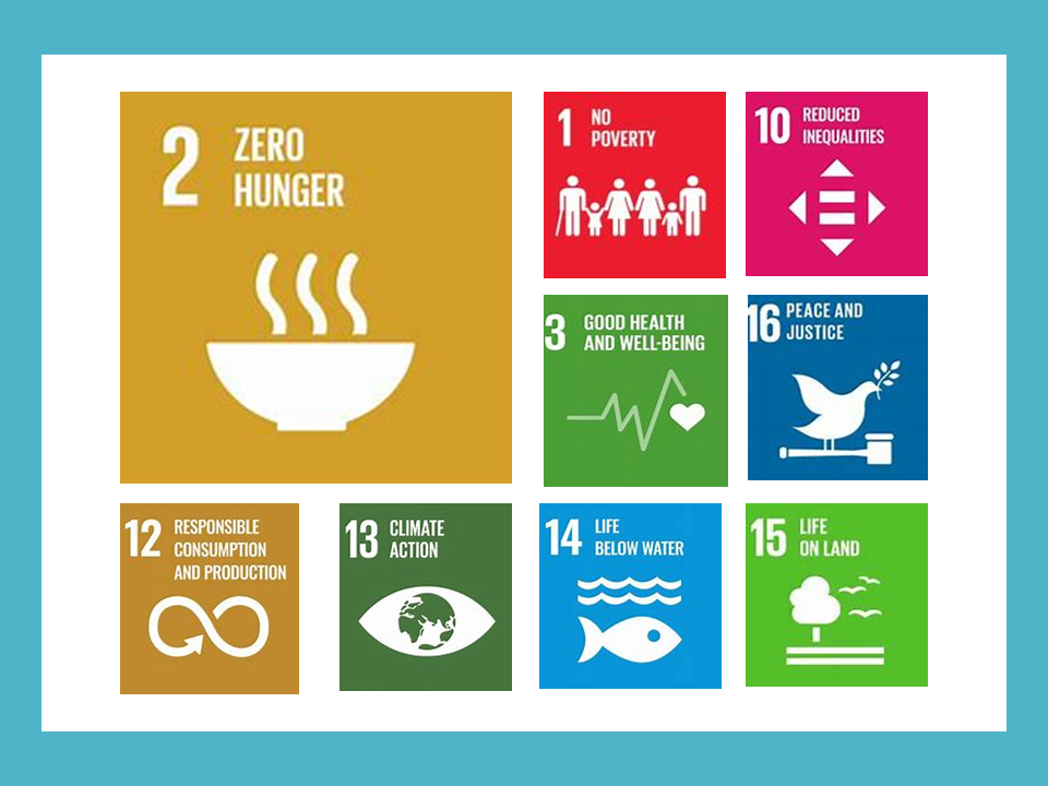 934. Addressing the Global Food Challenges of the Future | Japan ...