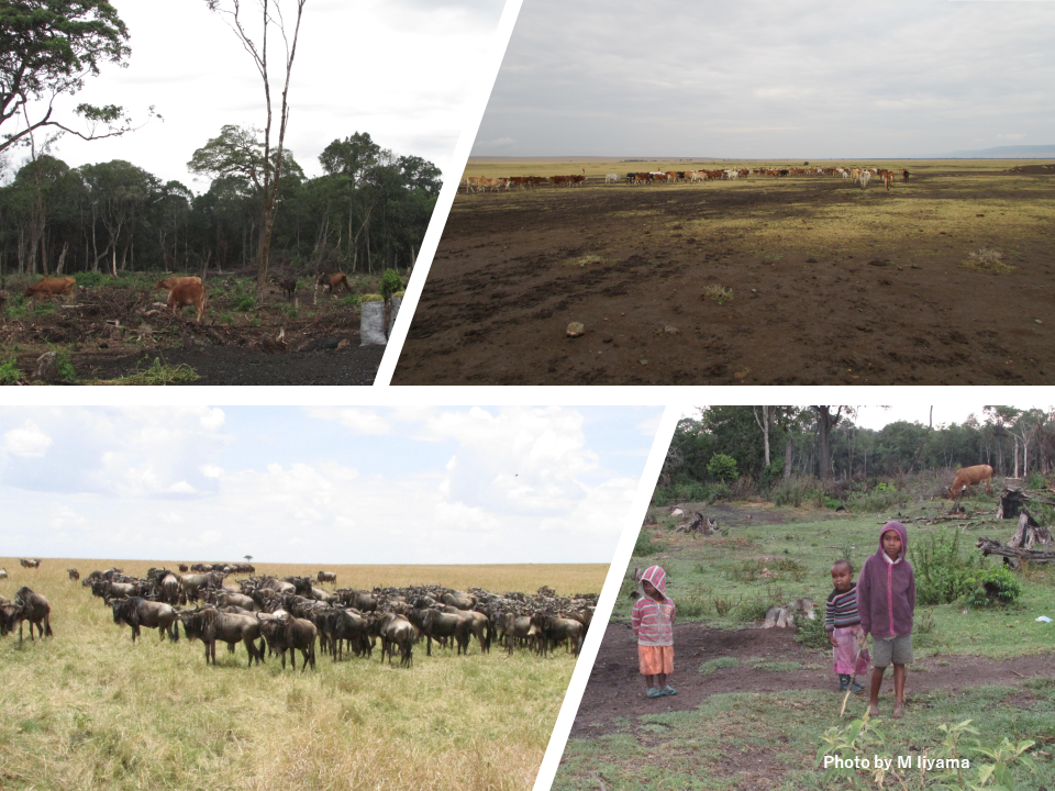 999. Causality Among Climate Change, Biodiversity Loss, and Infectious Disease Outbreaks | Japan ...