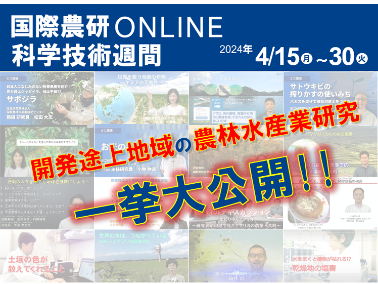 JIRCAS ONLINE Science and Technology Week (2024) | Japan International Research Center for ...