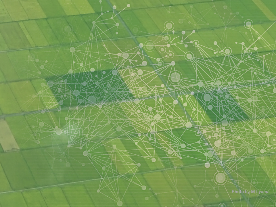 1087. Using AI for Global Food Security | Japan International Research ...