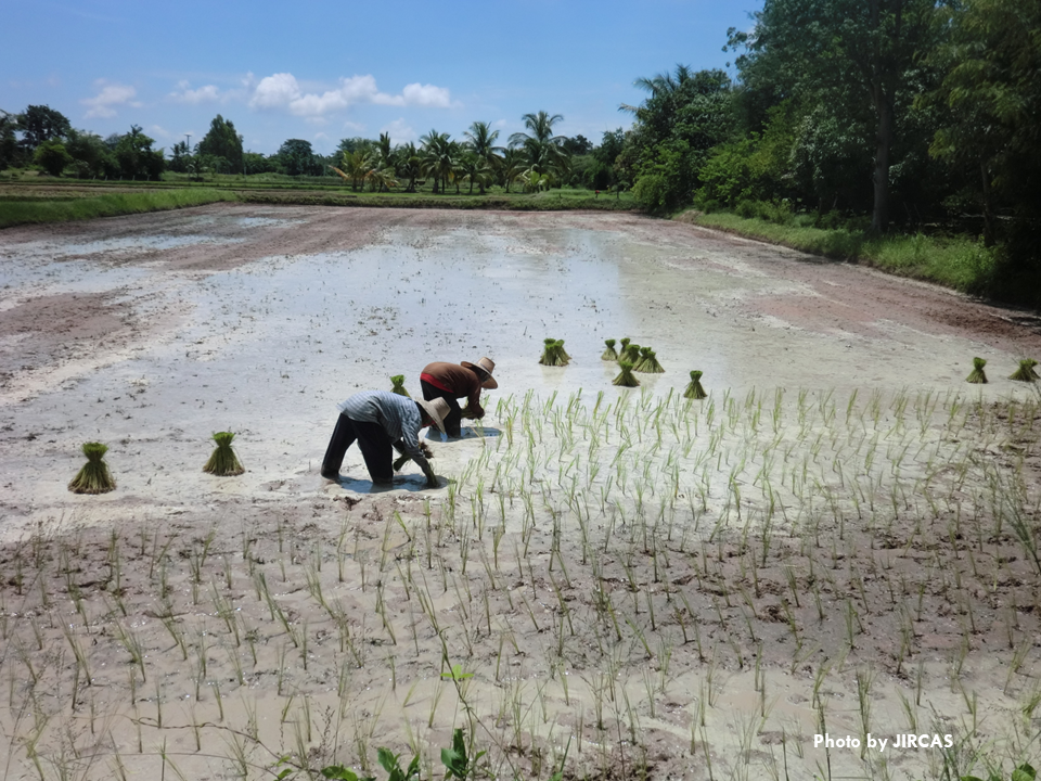 1114. Methane Surges in 2020-2022 Were Driven by Inundation of the Wet Tropics | Japan ...