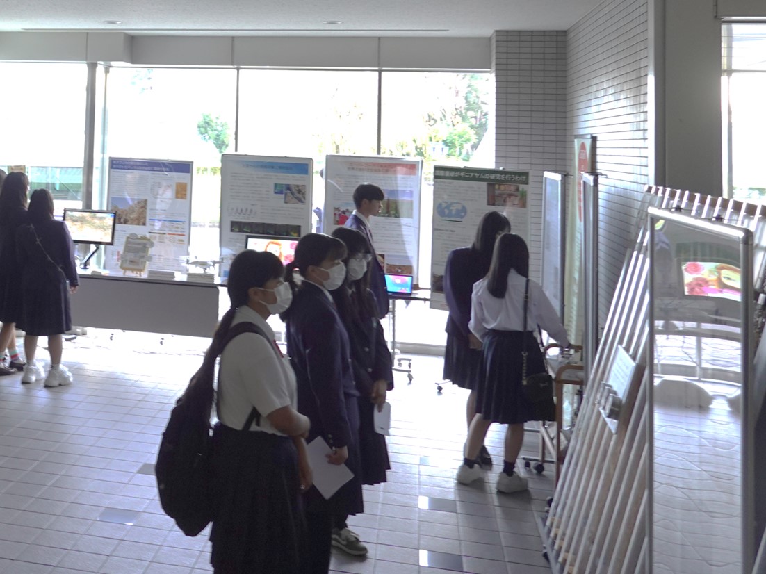 Second-Year Students from Okinawa Prefectural Kyuyo High School Visit JIRCAS | Japan ...
