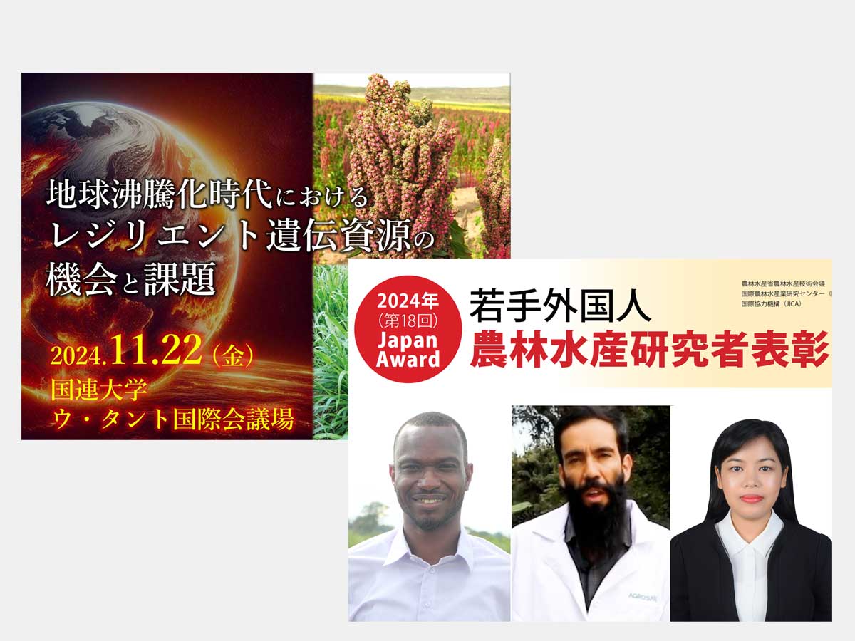 JIRCAS国際シンポジウム2024とJapan Award2024のアーカイブ動画を配信 | 国立研究開発法人 国際農林水産業研究センター | JIRCAS