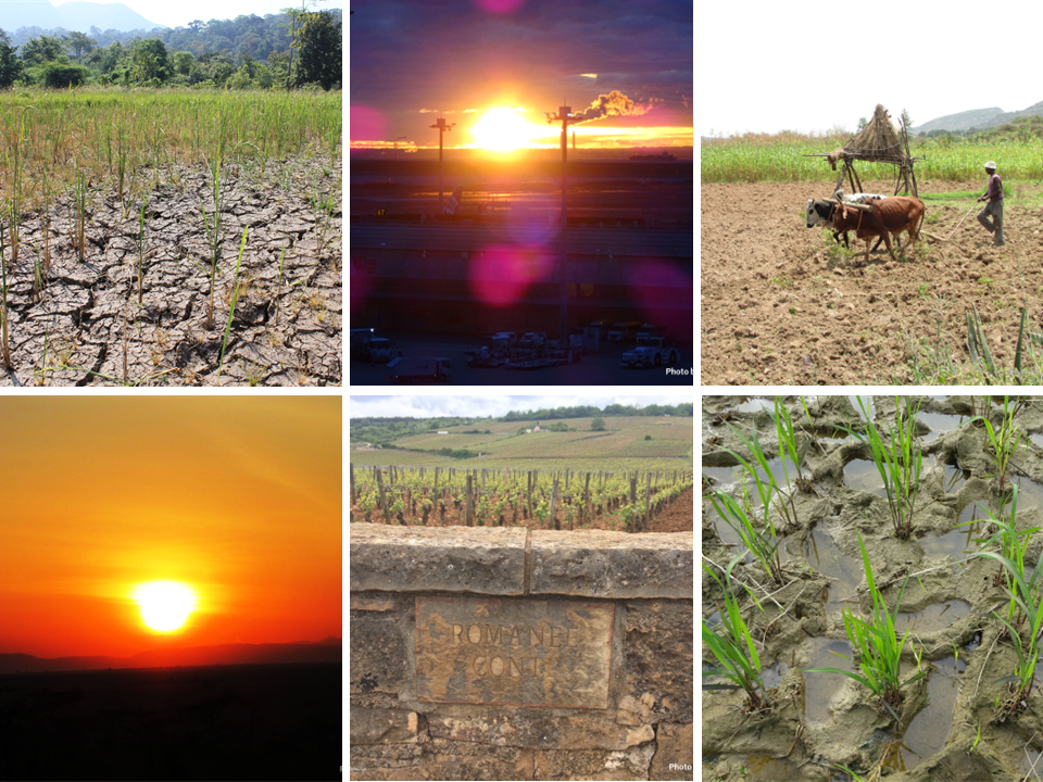 1168. Looking Back on 2024 | Japan International Research Center for ...