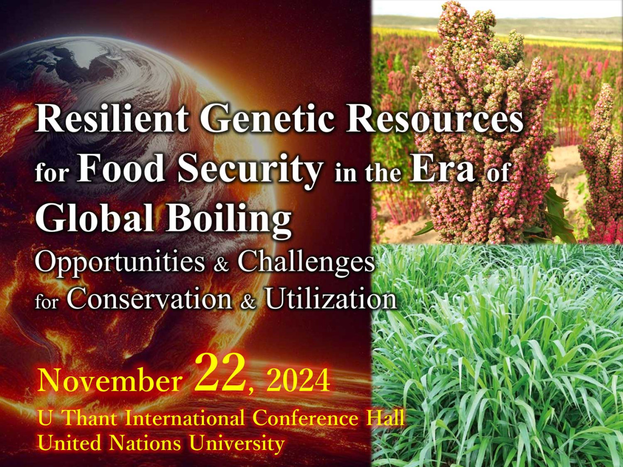 JIRCAS International Symposium 2024 : Resilient Genetic Resources for Food Security in the Era ...