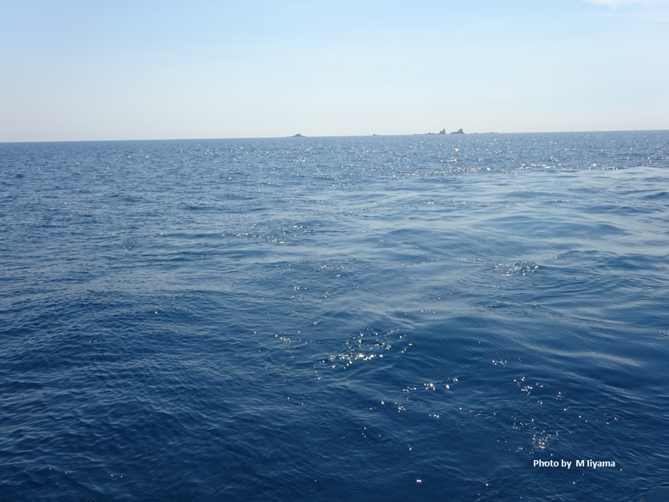 1175. Record Sea Surface Temperatures and Ocean Heat Content Observed ...