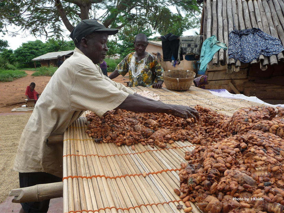 1225. Farm Management Consulting for Farmers in Africa | Japan ...