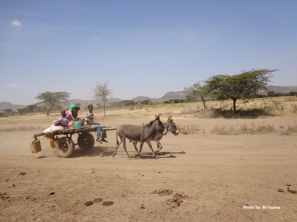 1237. Social Dimensions of Climate Change Impacts | Japan International ...
