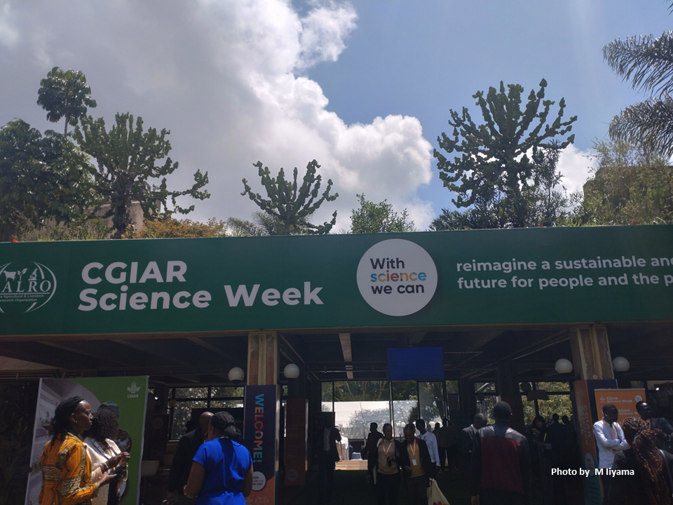 1242. Bridging the Gap Between Science and Policy | Japan International ...