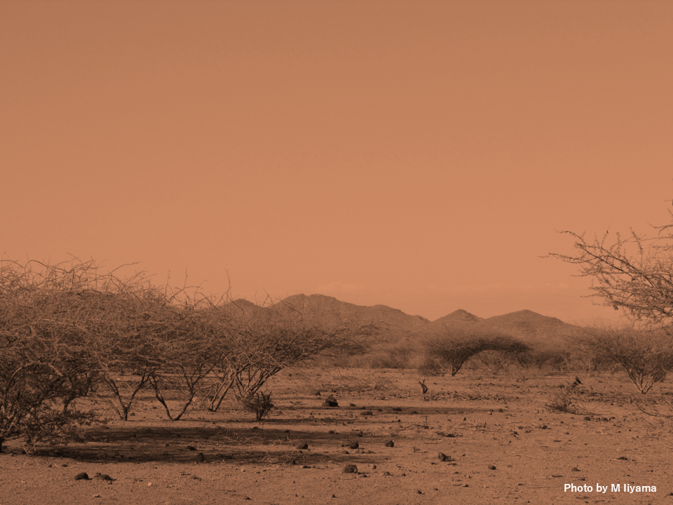 1276. Climate Change Amplifies the Severity of Droughts | Japan ...