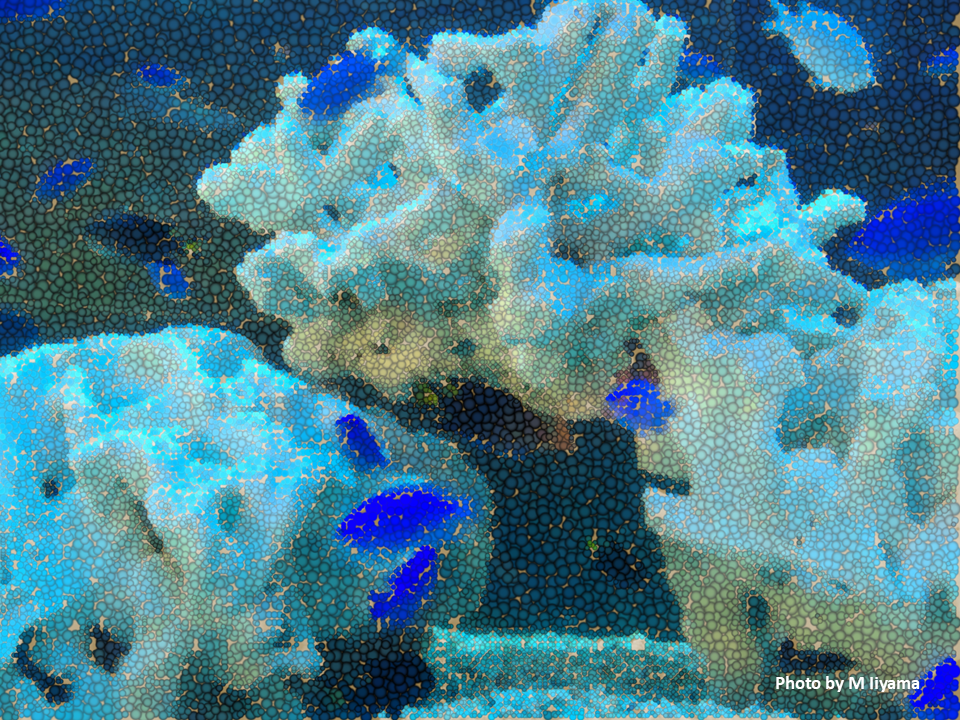 1438. Ocean Warming Exacerbates Tropical Coral Bleaching | Japan ...